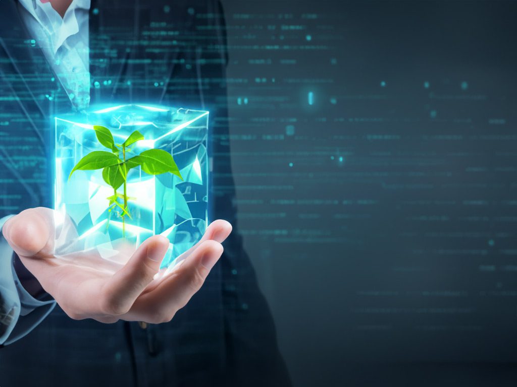 Nachhaltigkeit in der IT-Branche: Wege zu einer Grüneren Zukunft ...