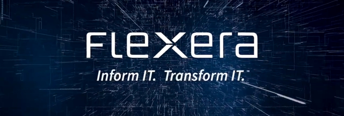 Flexera AdminStudio 21 - Patch - megasoft IT GmbH & Co. KG